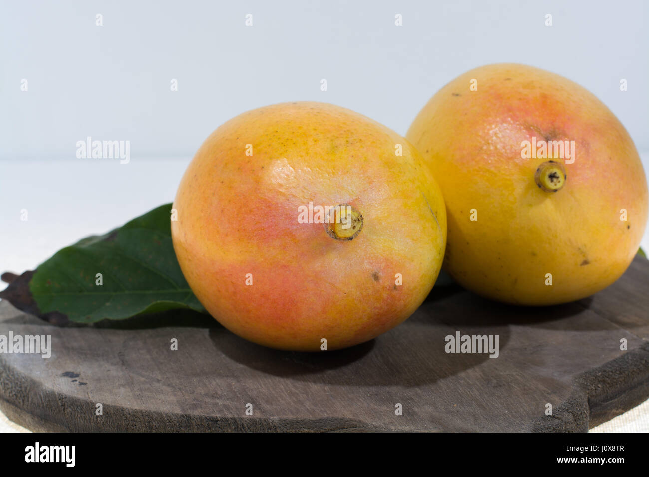 Two ripe organic golden yellow mangoes ready to eat close up Stock ...