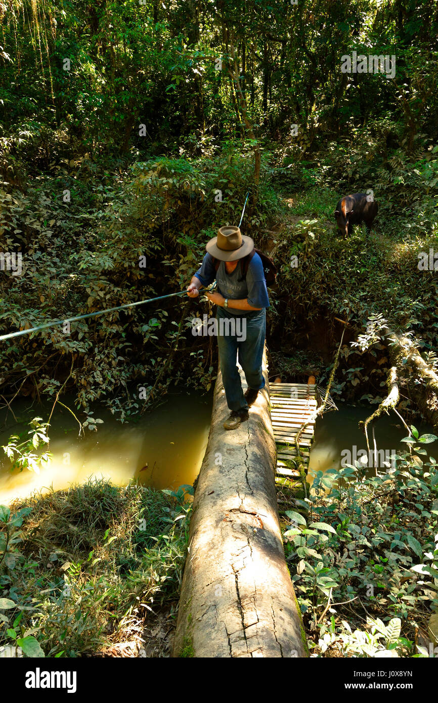 Amazon rainforest research hi-res stock photography and images - Alamy