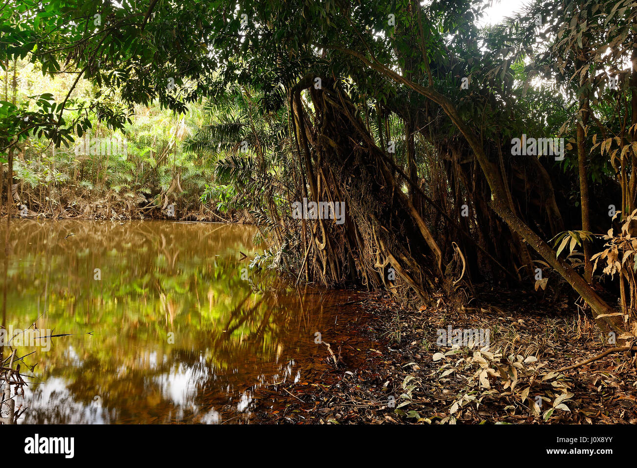 Ocbow hi-res stock photography and images - Alamy