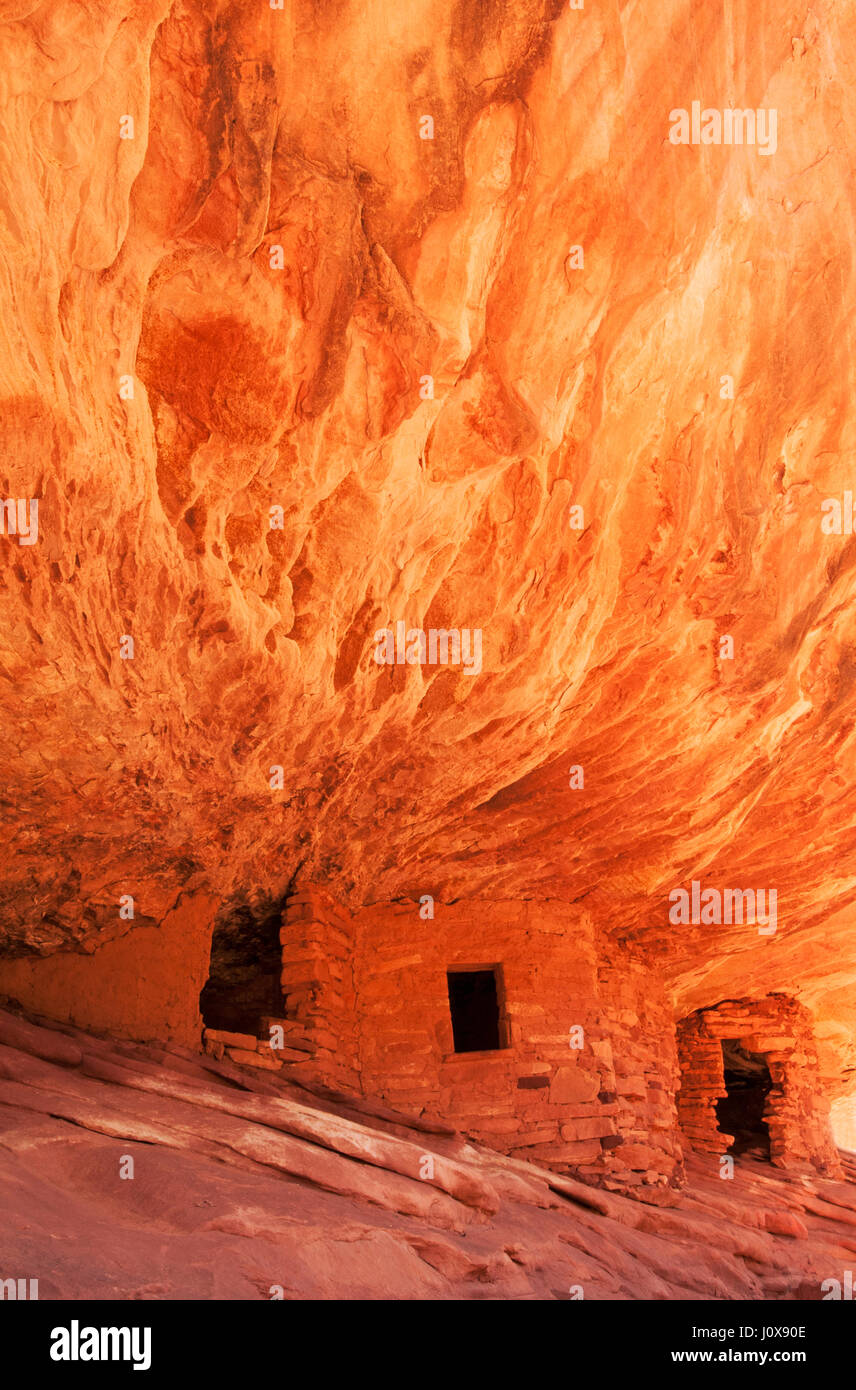 Utah; Cedar Mesa; Mule Canyon; "House on Fire" ruins; Anasazi (Pre ...