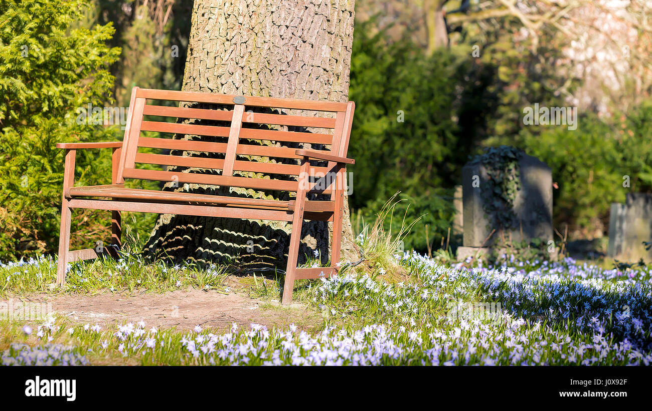 idyllic place, bench and spring meadow Stock Photo - Alamy