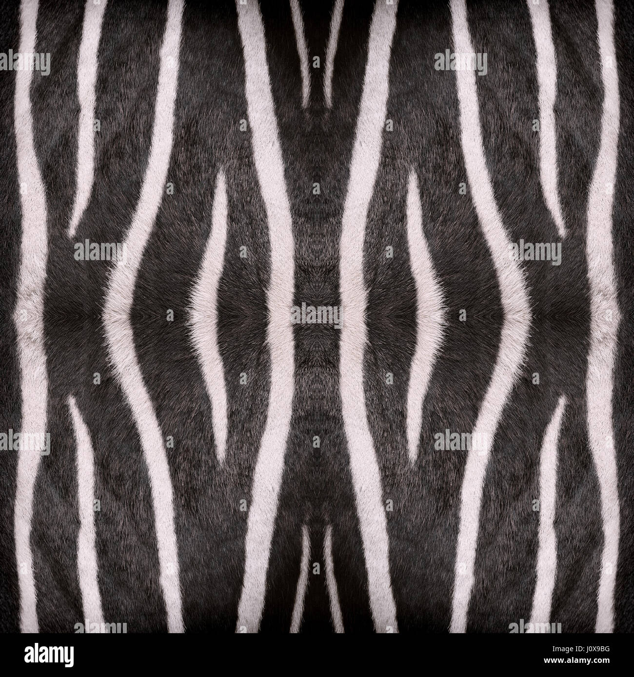 Zebra fabric texture hi-res stock photography and images - Alamy