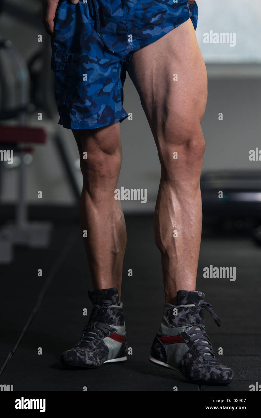 Close-Up of Bodybuilders Legs Ready For Competitive Sport Stock Photo ...