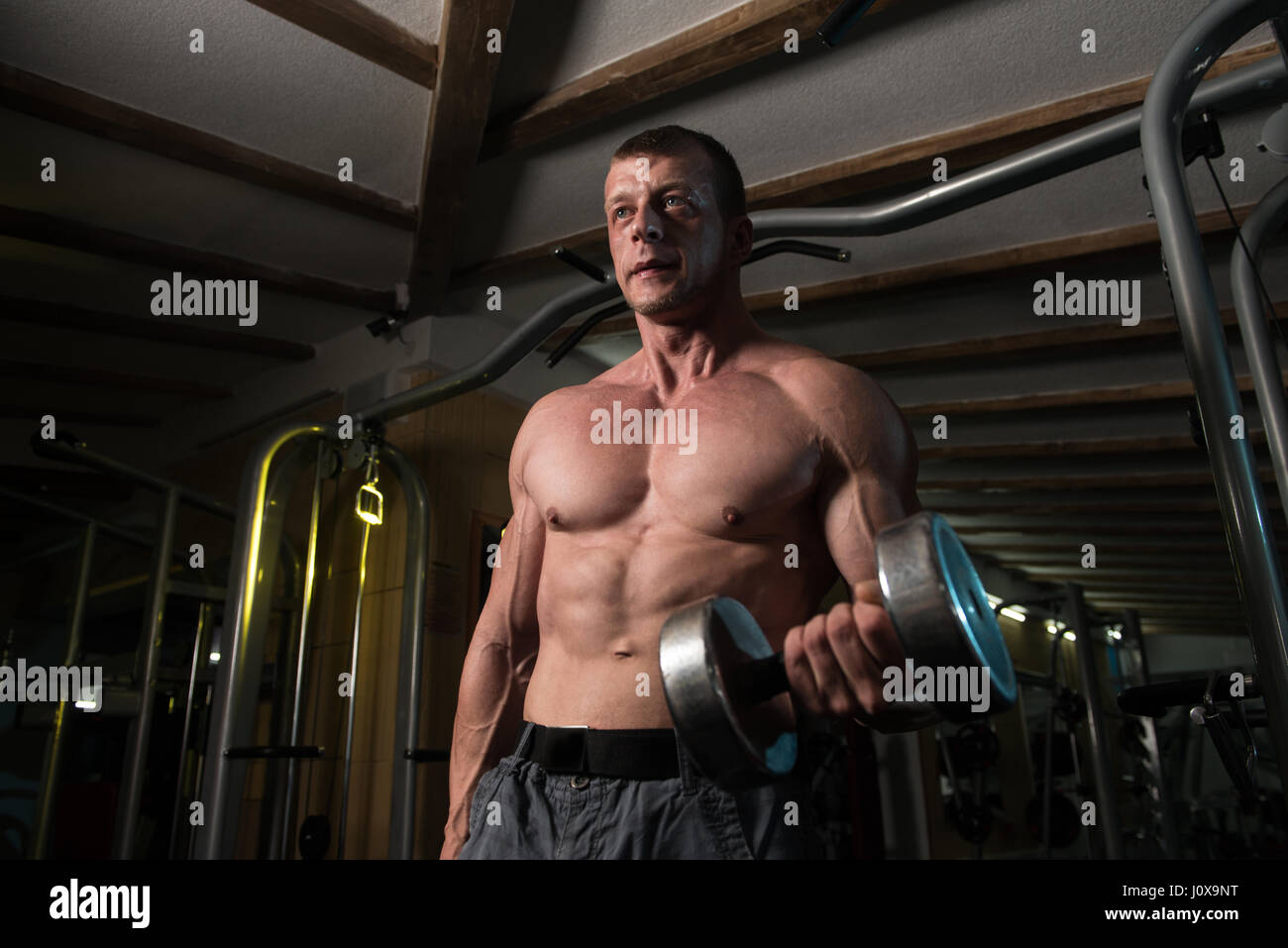 Man Working Out Biceps In Gym - Dumbbell Concentration Curls Stock ...