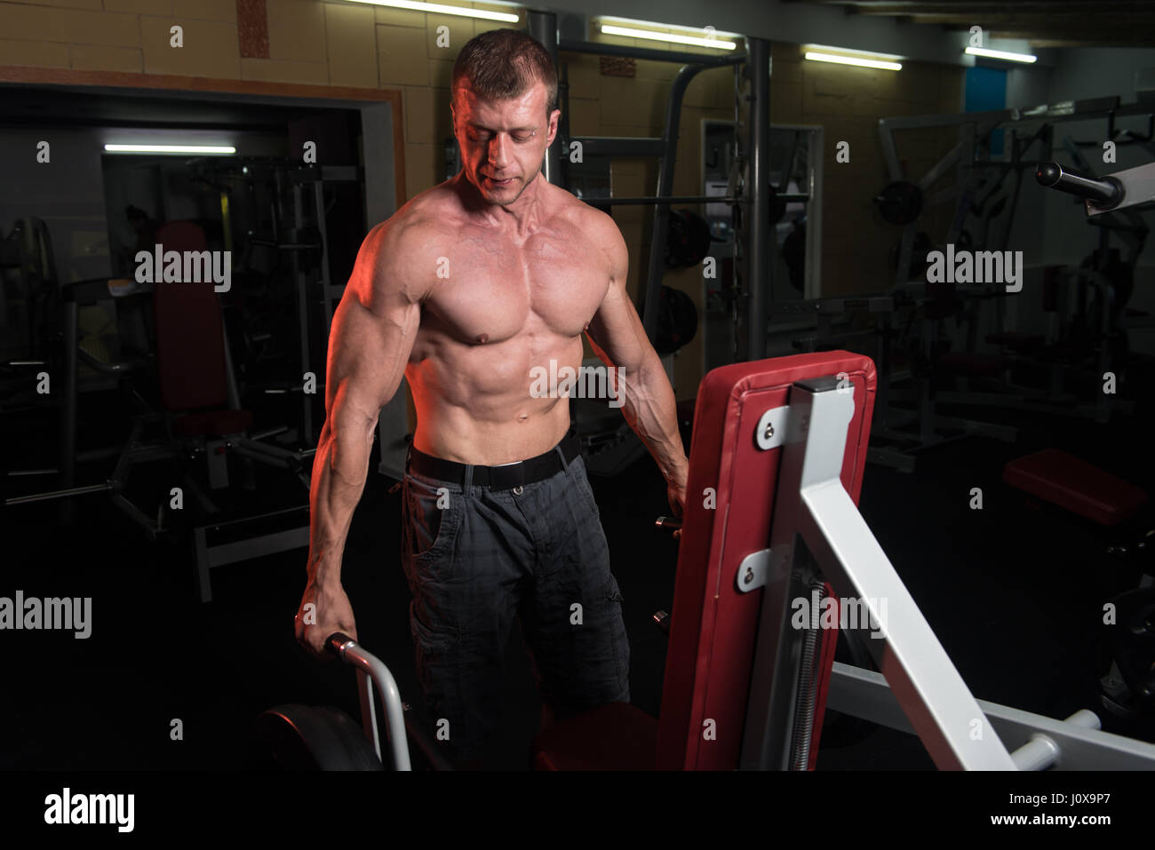 Bodybuilder Doing Heavy Weight Exercise For Back On Machine Stock Photo ...