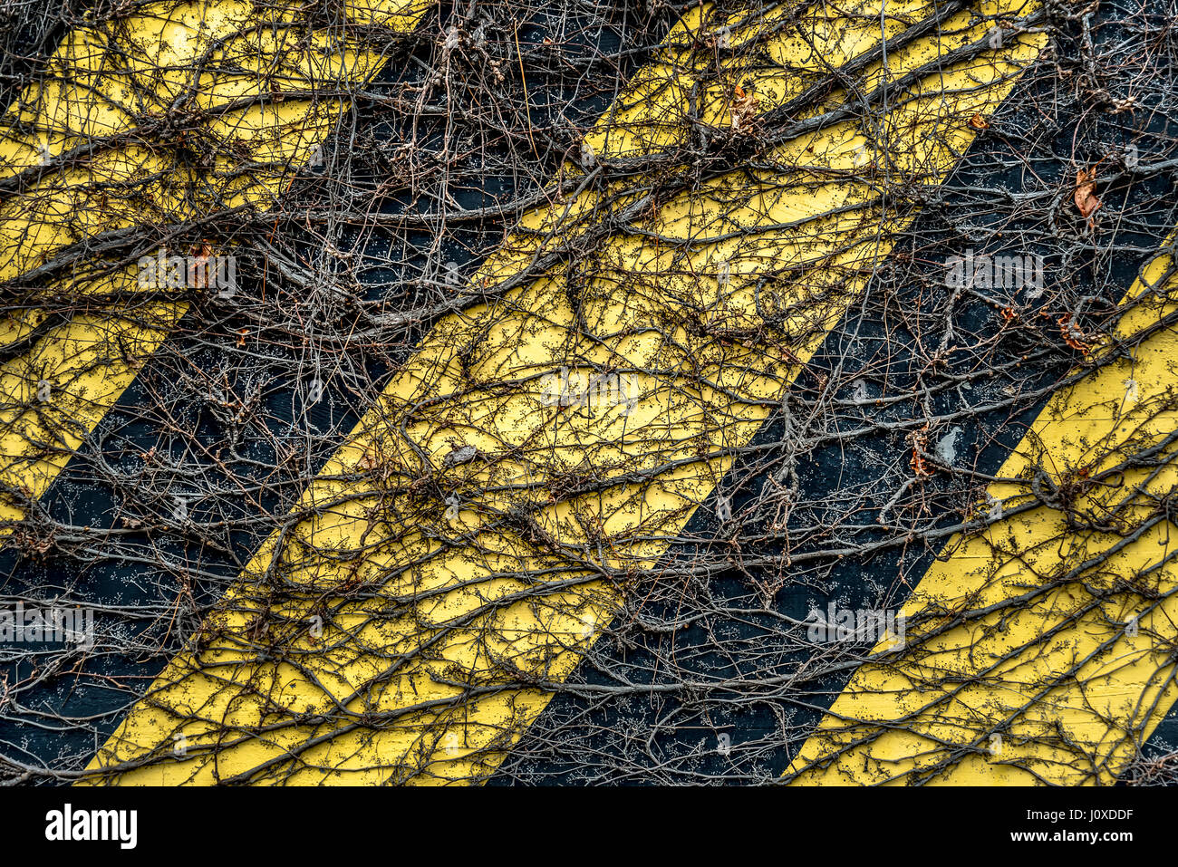 Nature vs City Stock Photo - Alamy