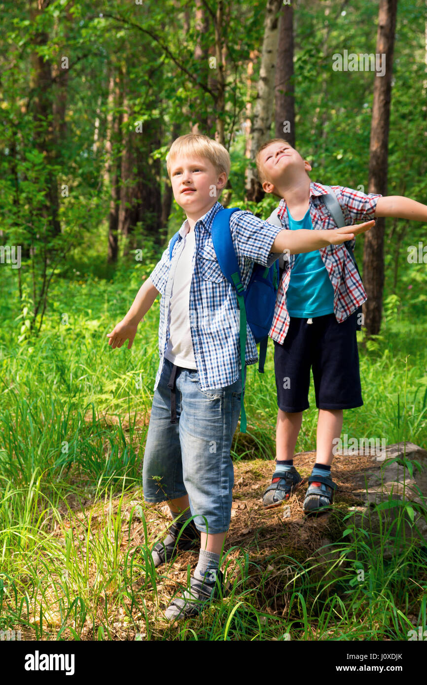 Children with backpacks walking in a summer forest, go hiking and ...