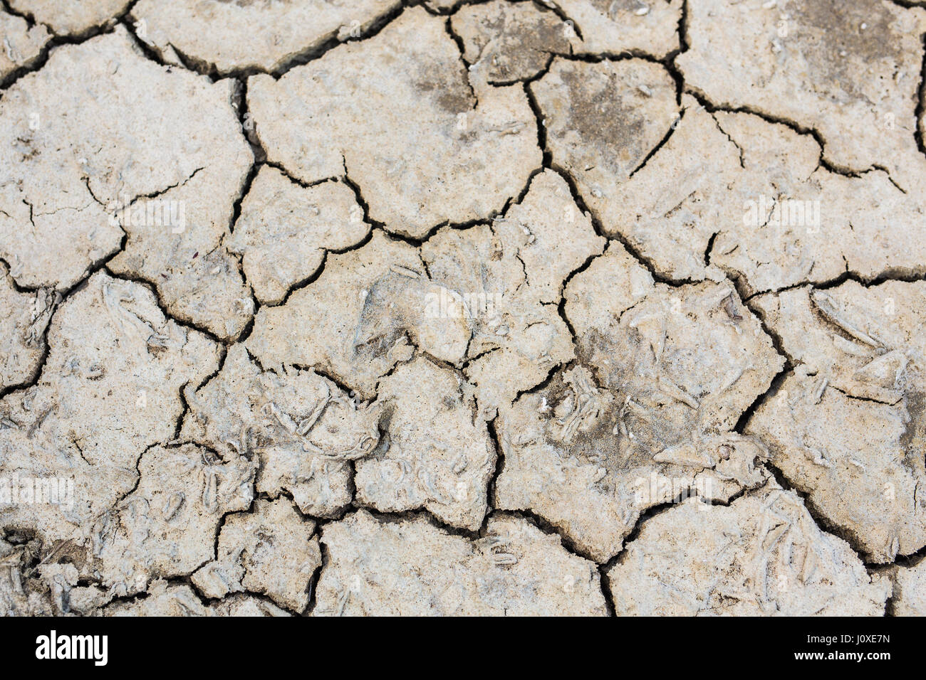 Dry land texture, background image Stock Photo - Alamy