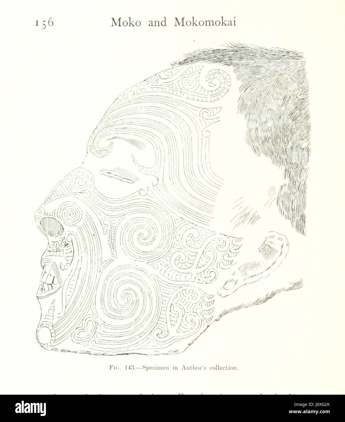 'Moko' is a study of Maori tattooing, detailing its cultural ...