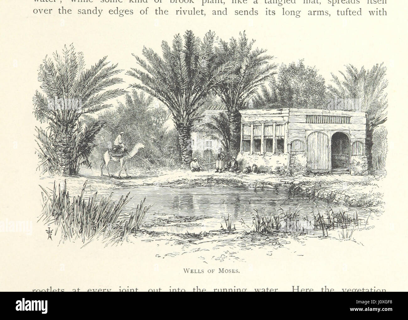 'The Land of the Pharaohs' explores ancient Egypt’s history, with ...