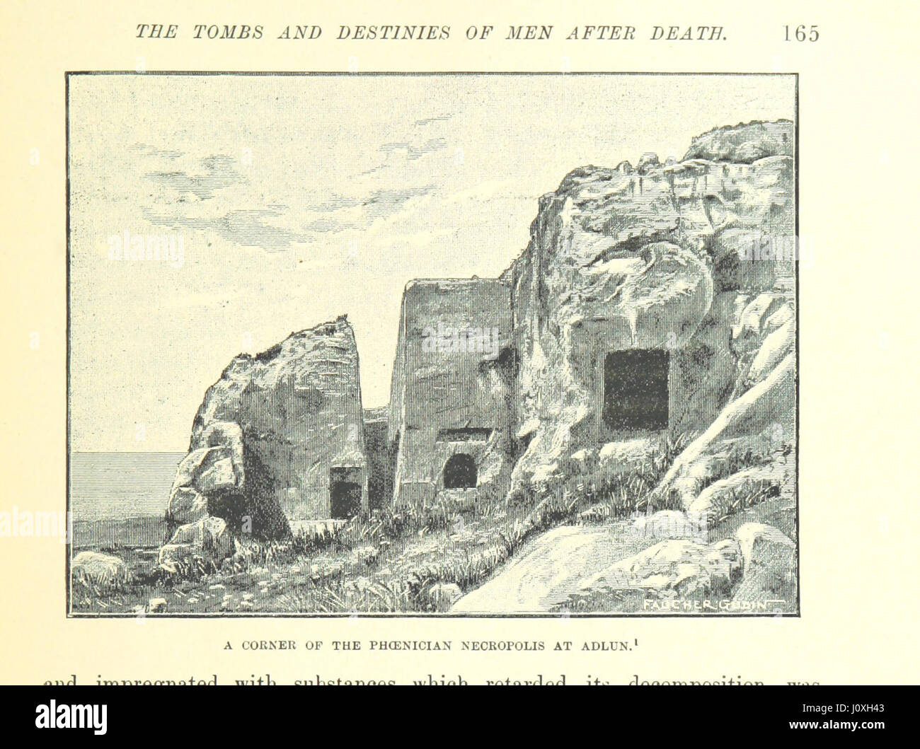 'The Struggle of the Nations' discusses the ancient civilizations of ...