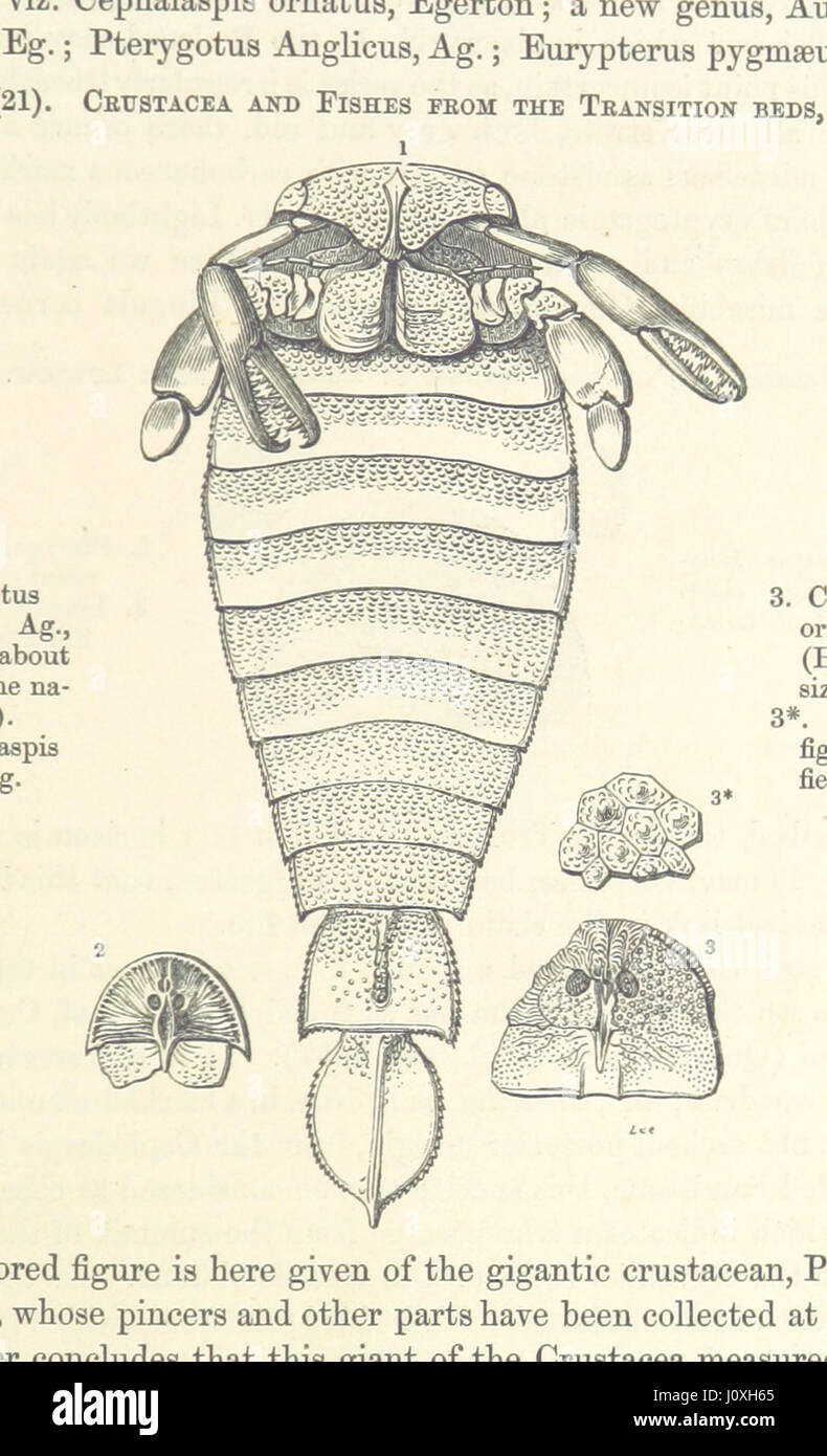 An account of Siluria, the history of the oldest known rocks containing ...