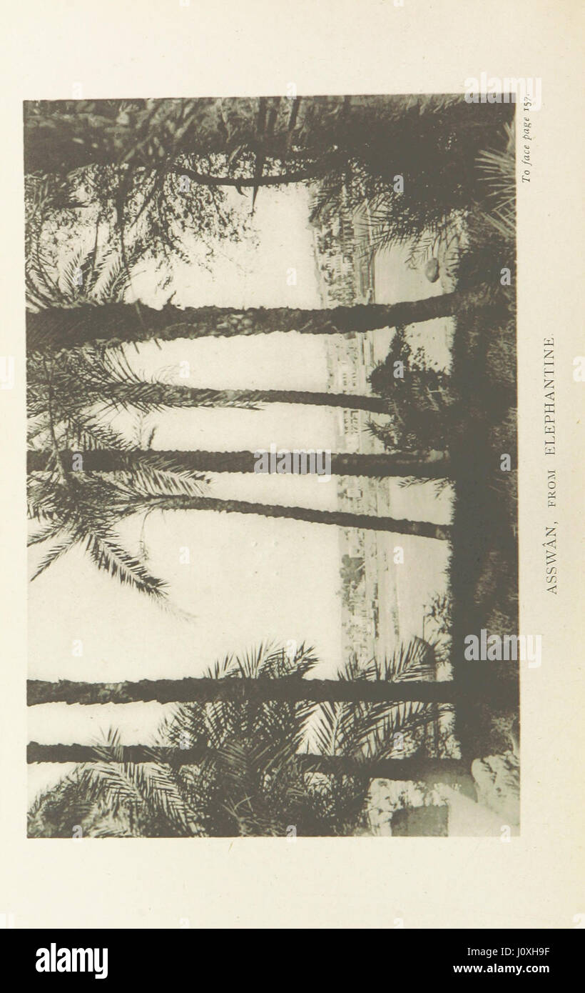 'On the Nile with a Camera' offers a visual journey along the Nile ...