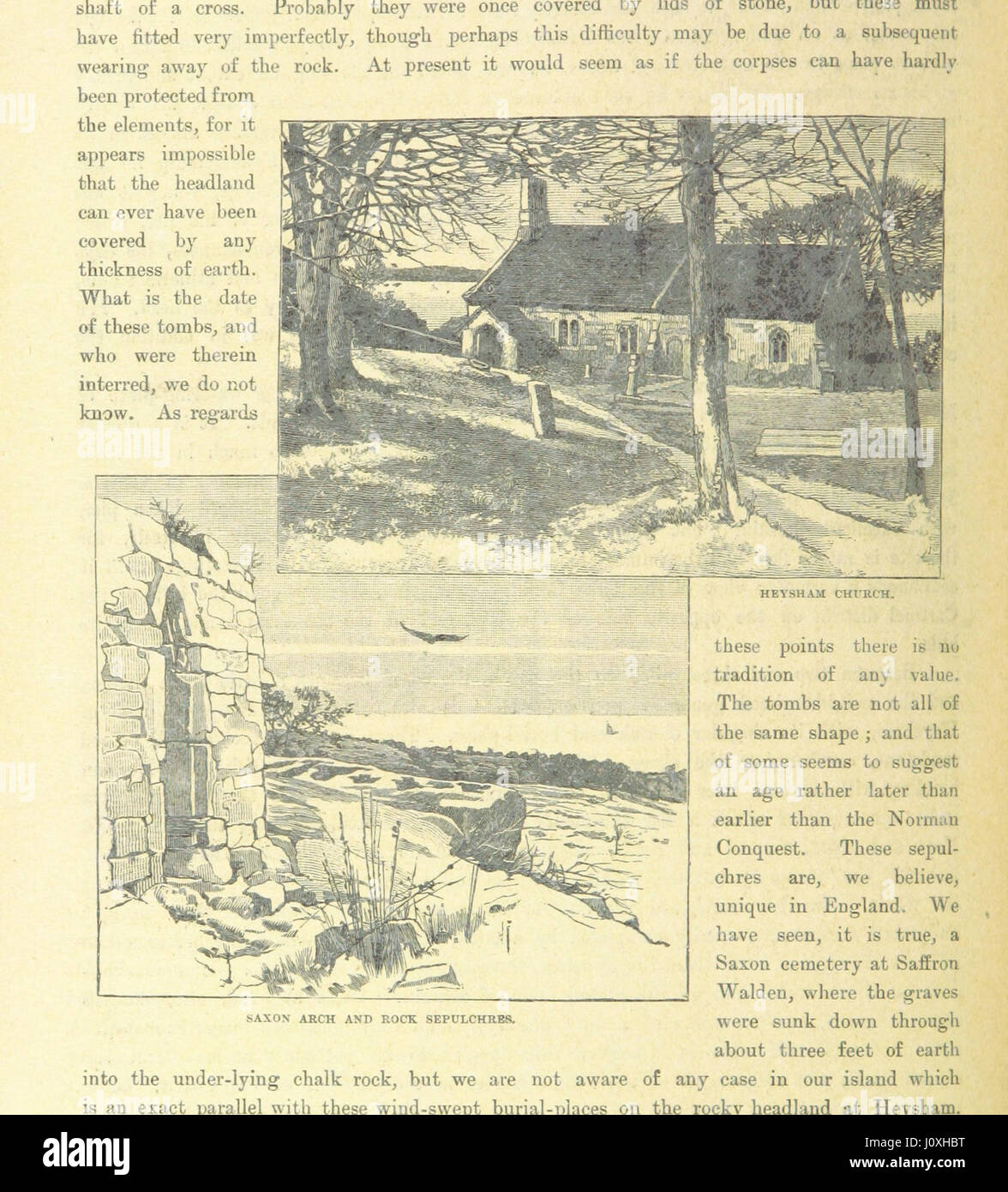 A comprehensive work offering descriptive, historical, and pictorial ...
