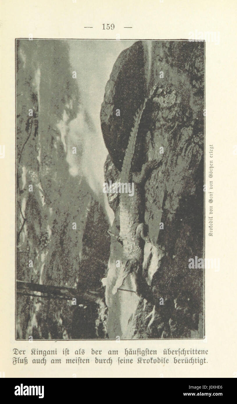 This work explores the German colonies, focusing on their formation ...