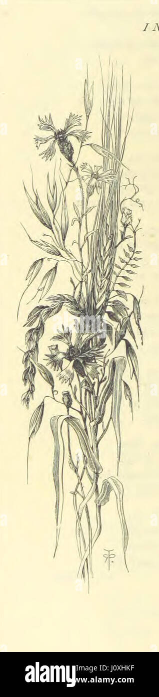 A collection of sacred poems edited by R.H. Baynes, with illustrations ...