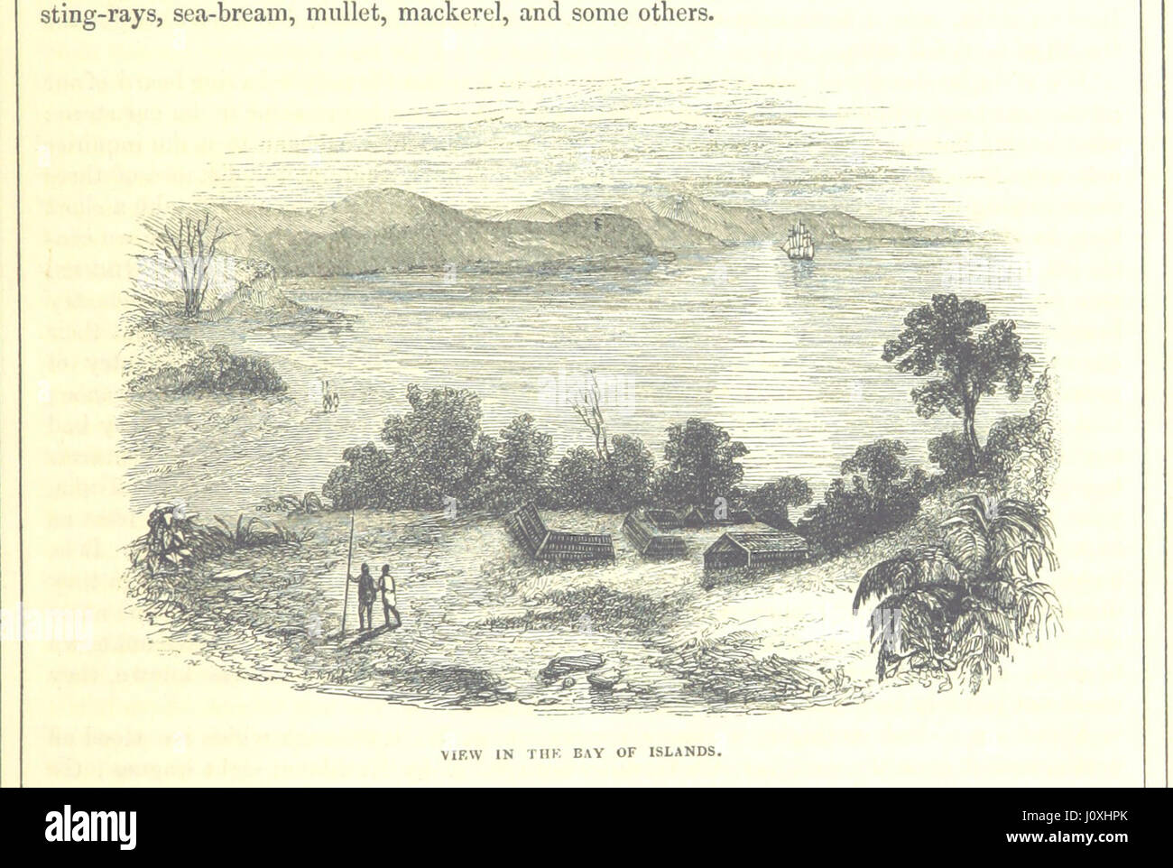 This book details the voyages of Captain James Cook, exploring his ...