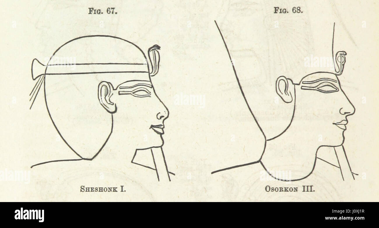 [Types of Mankind: or Ethnological Researches ... illustrated by ...
