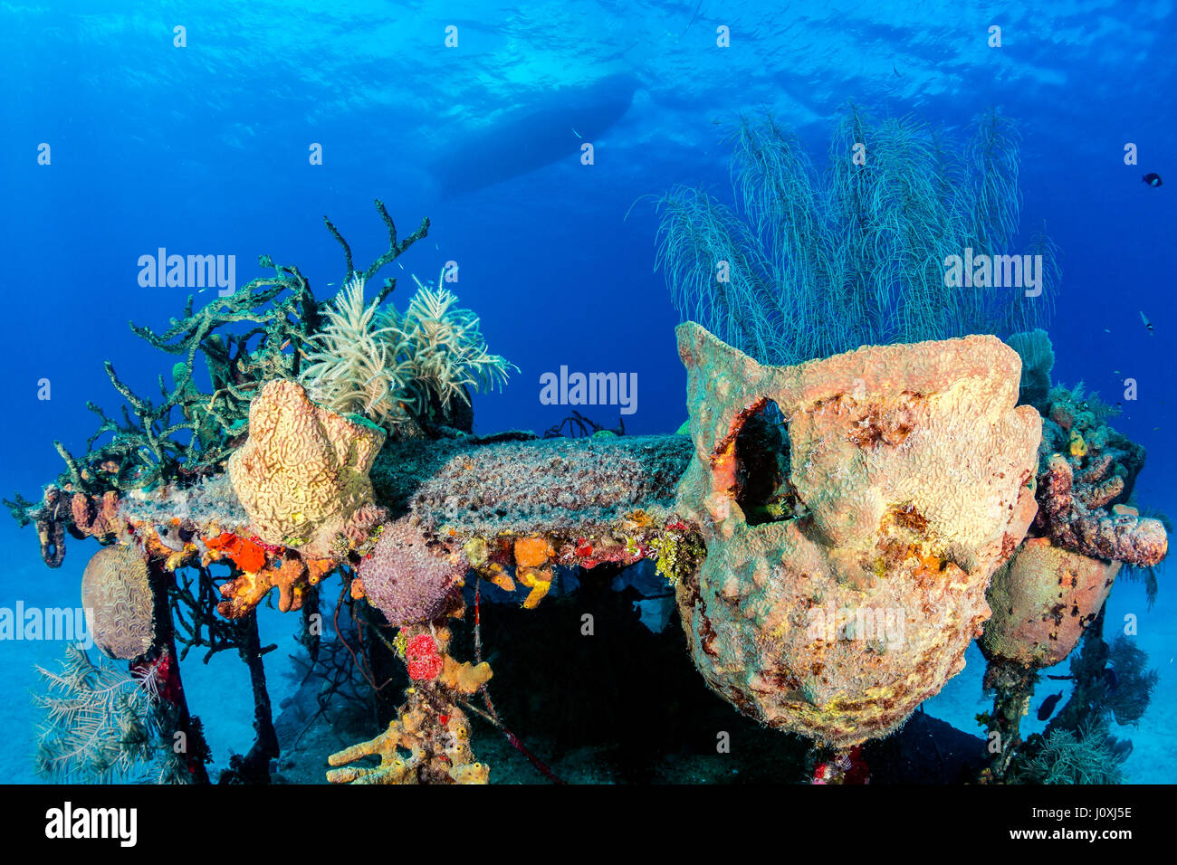 Old, coral encrusted shipwreck with a dive boat moored above it Stock ...