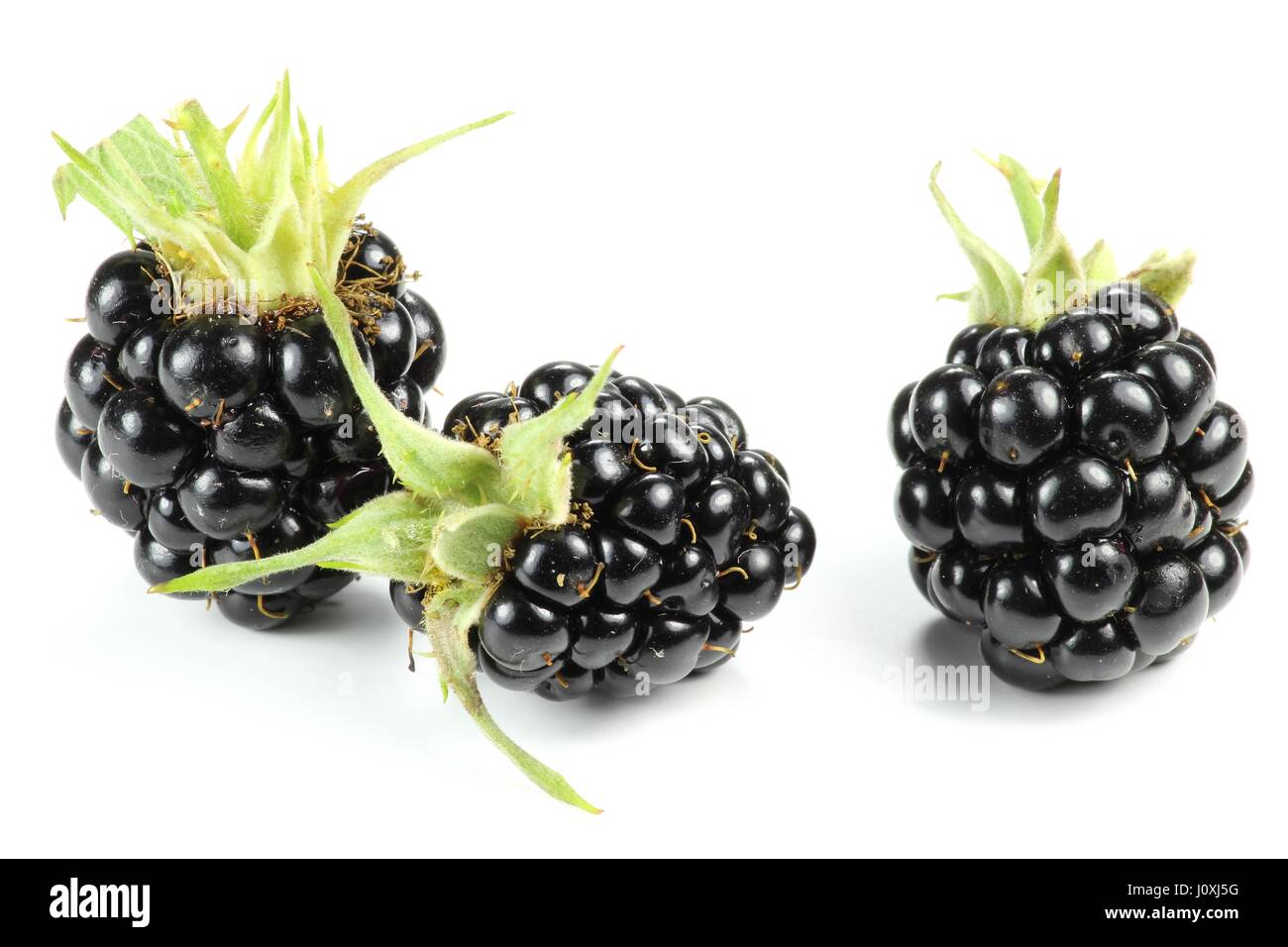 blackberries isolated on white background Stock Photo - Alamy