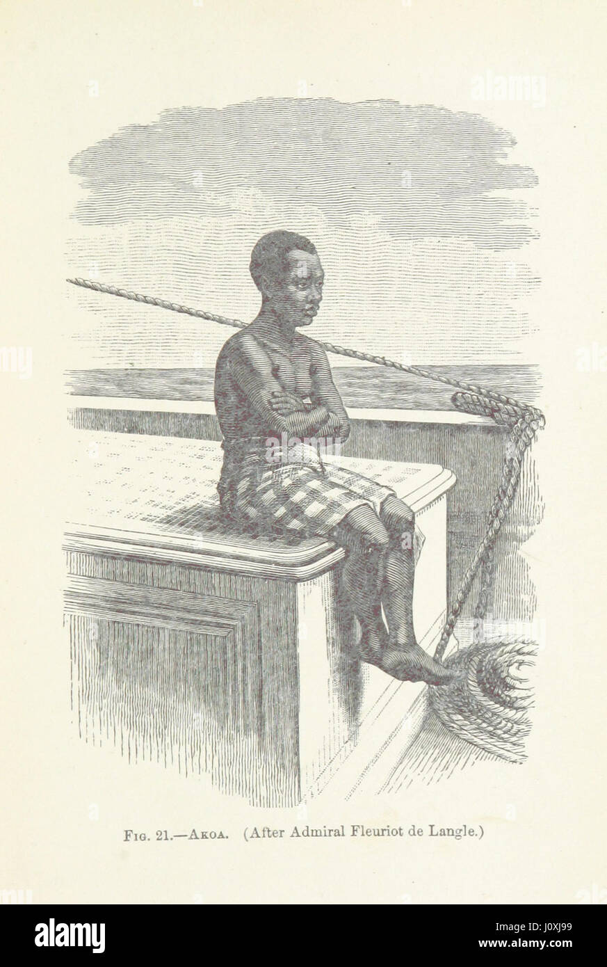 This translated work discusses the pygmy populations of Africa ...