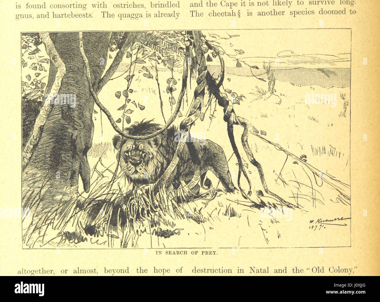 This image from 'The Story of Africa and its Explorers' provides an ...