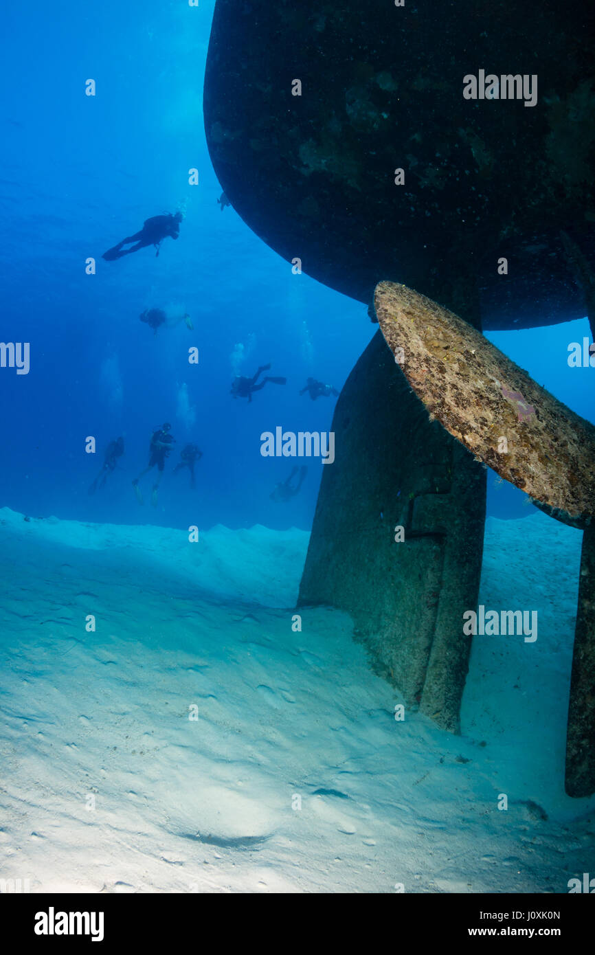 SCUBA Divers swim around the stern, rudder and propellor of a large ...
