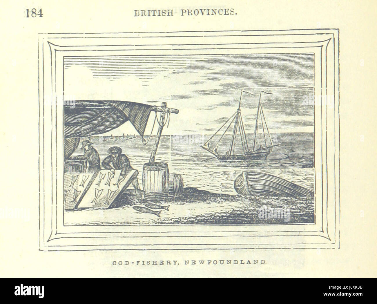 An Illustrated History of the New World: containing a general history ...