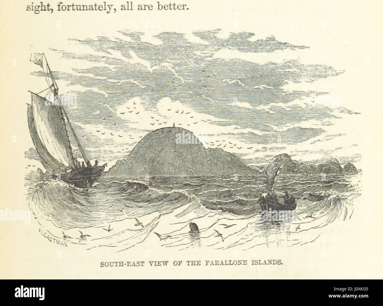 'Scenes of Wonder and Curiosity in California' explores the state's ...