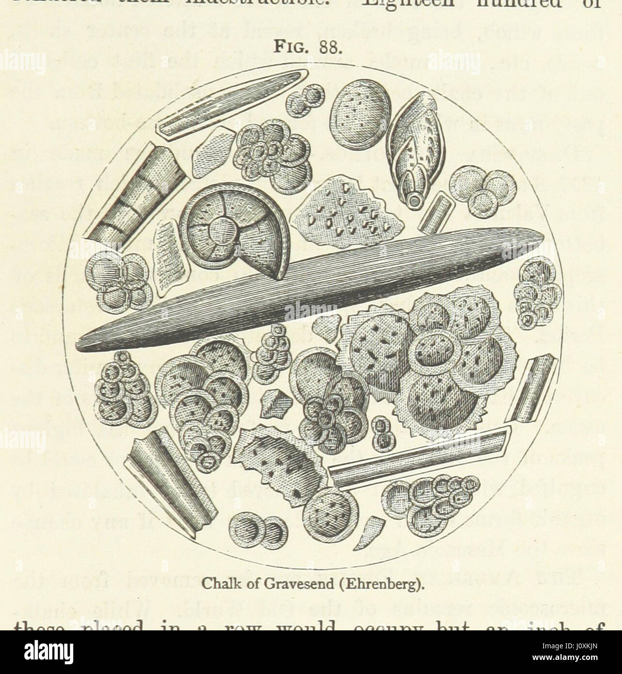'The Story of the Rocks' offers an accessible introduction to geology ...