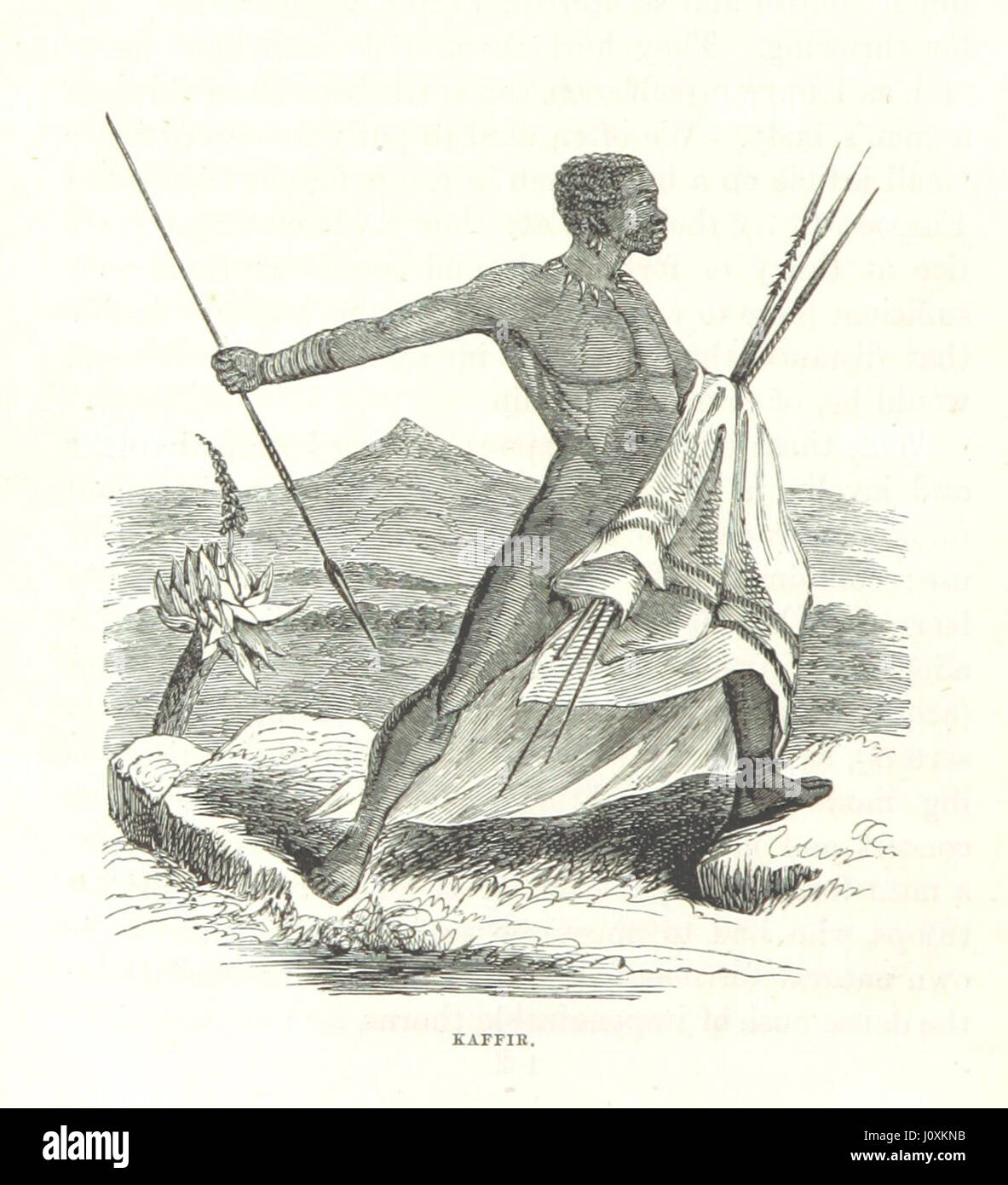 Kaffir war hi-res stock photography and images - Alamy