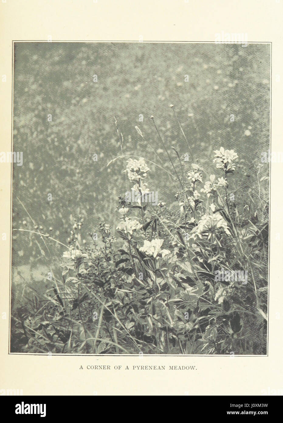 This work provides a journey through the High Pyrenees, offering ...