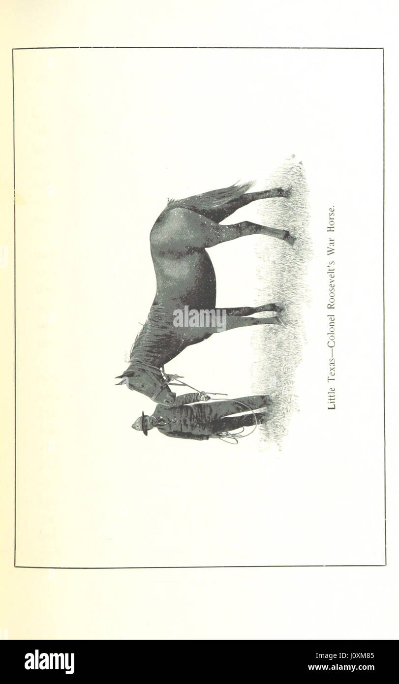 Rough riders museum hi-res stock photography and images - Alamy