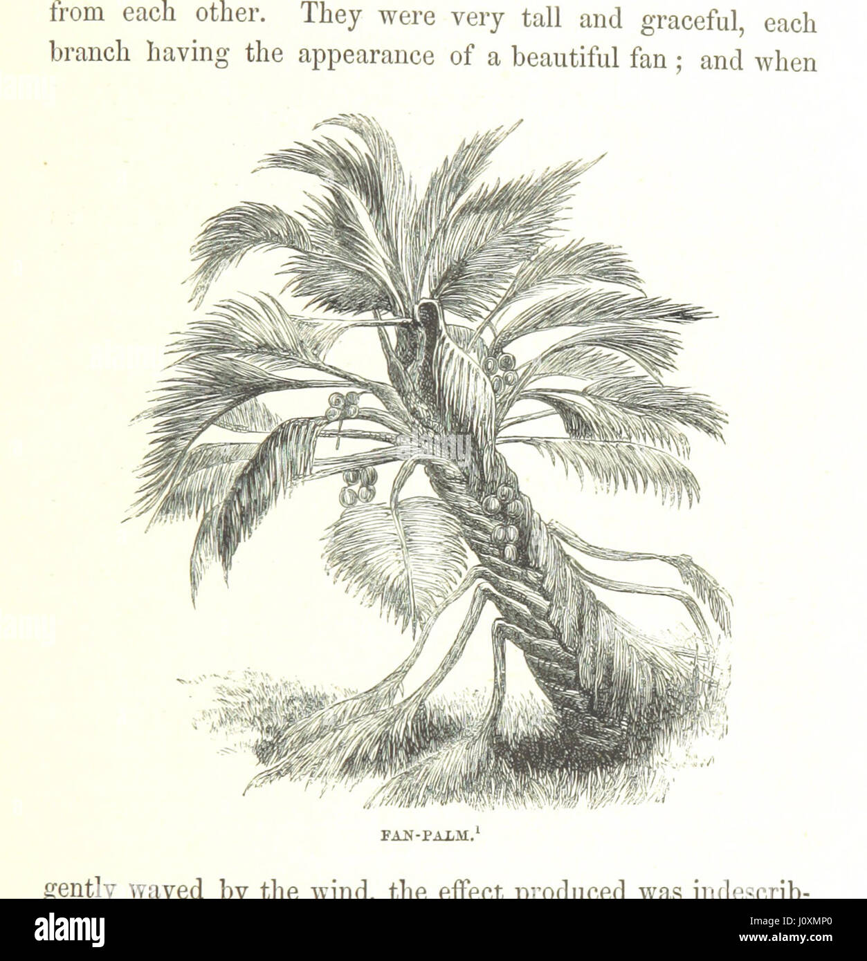'Lake Ngami' documents the author’s four-year exploration of South ...