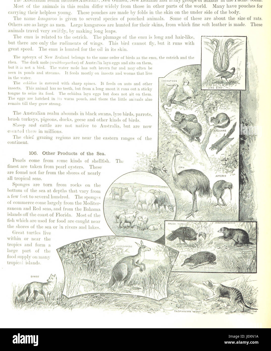 'Advanced Geography' is a comprehensive resource for understanding ...