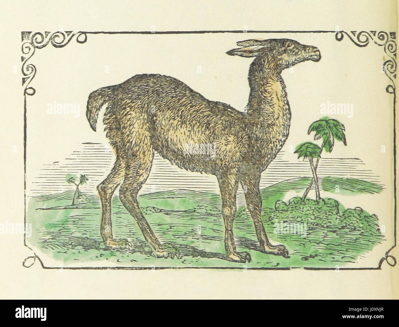 Creation of adam art gallery hi-res stock photography and images - Alamy