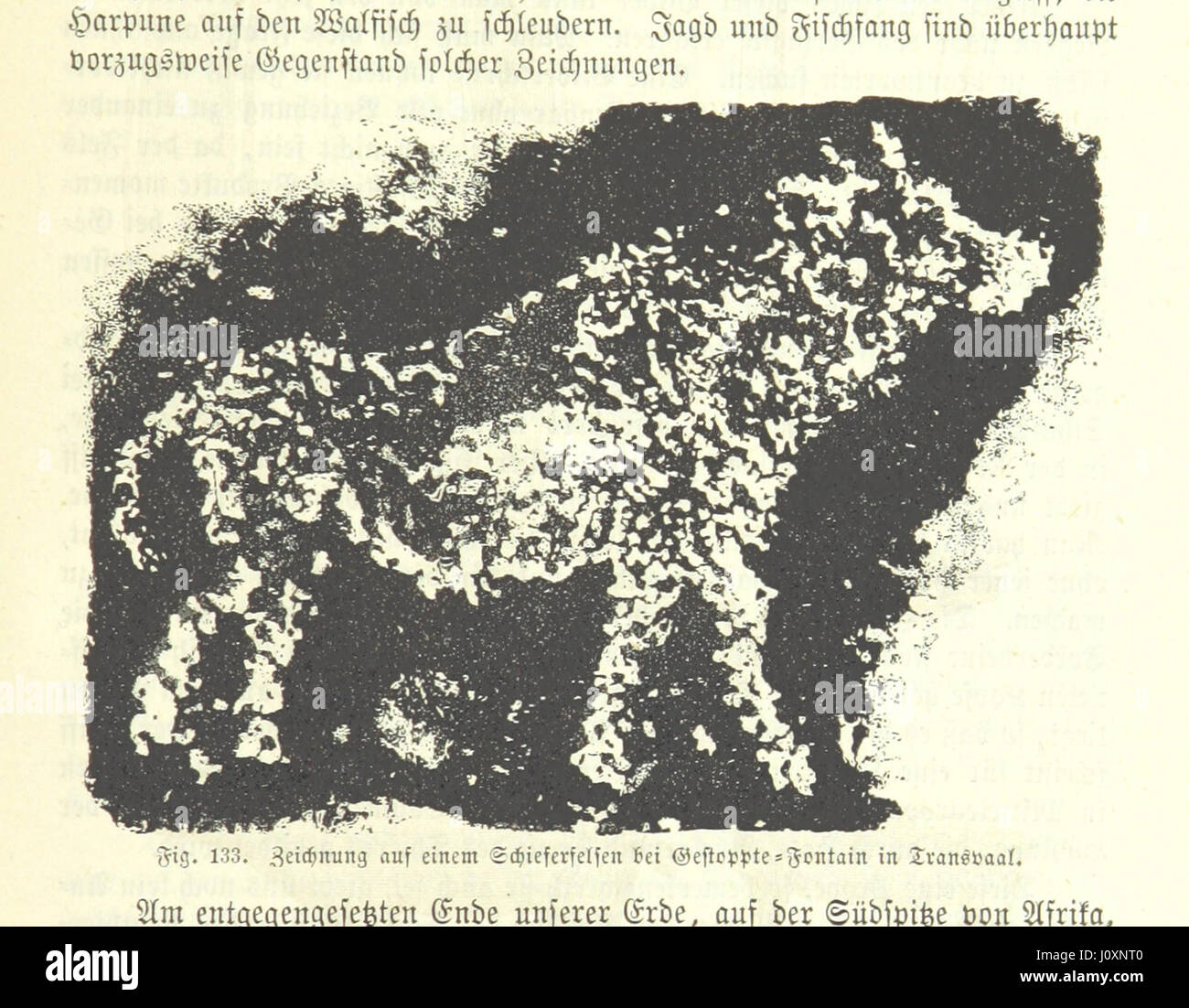 A comprehensive work on the origins and development of mankind ...