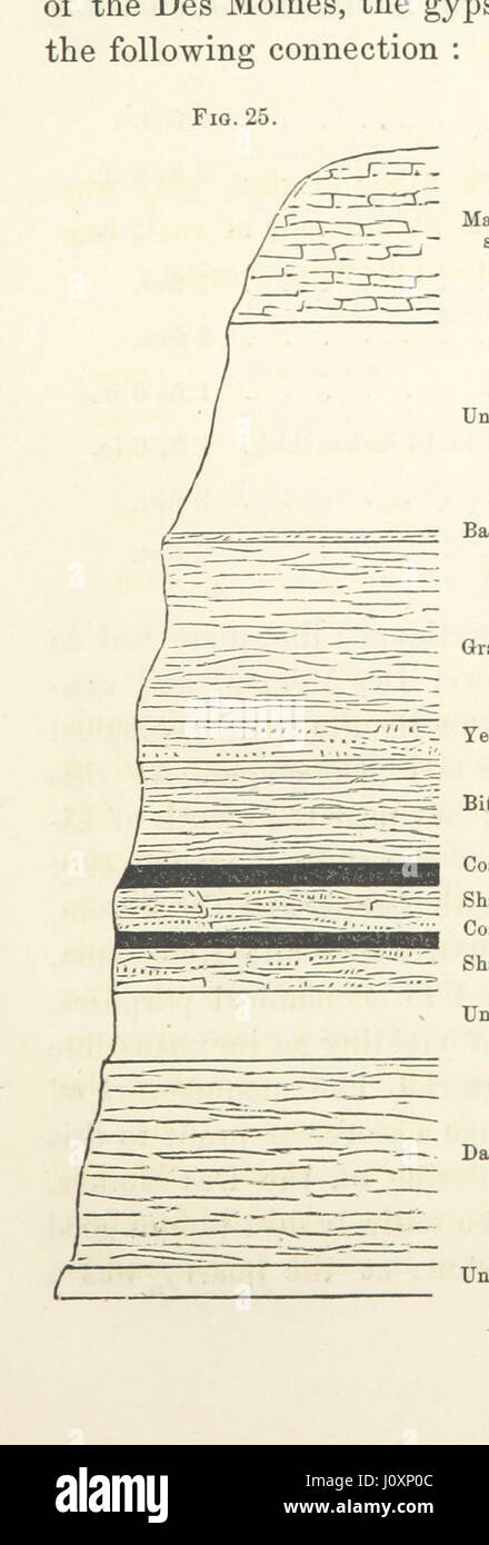 This report on the geological survey of Iowa provides detailed ...
