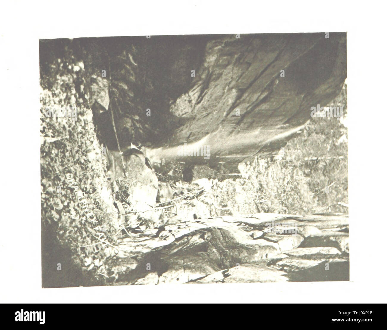 This geological report details the findings of an exploration ...