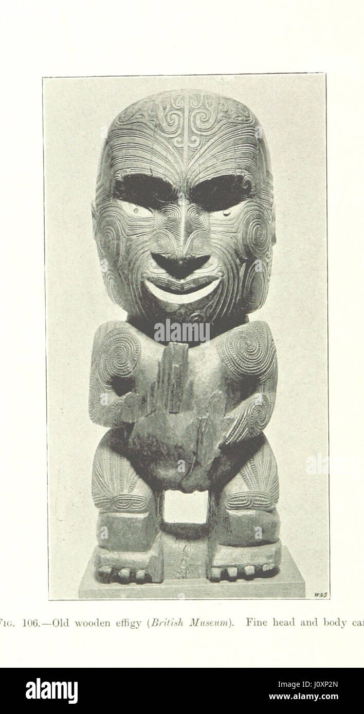 *Moko; or, Maori Tattooing* delves into the cultural practice of ...