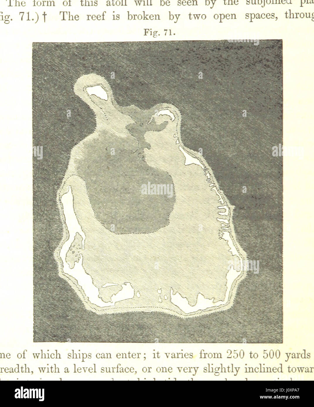 *The Geological Observer* offers insights into geological studies and ...