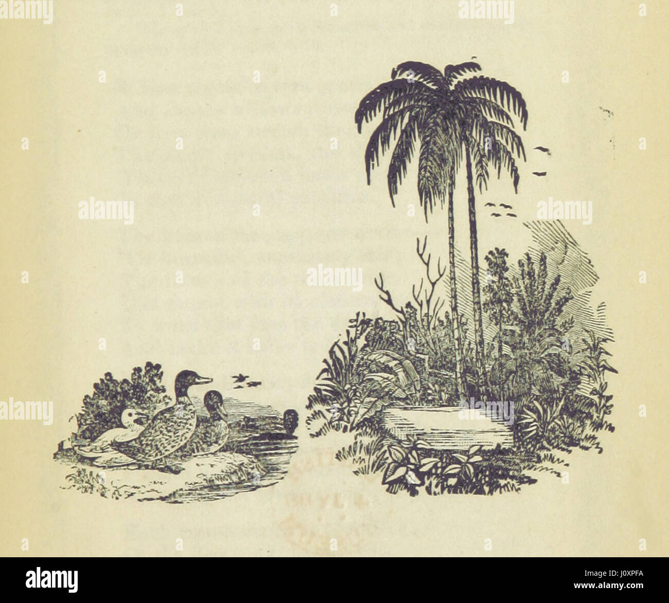 This collection of original poems explores themes of creation ...