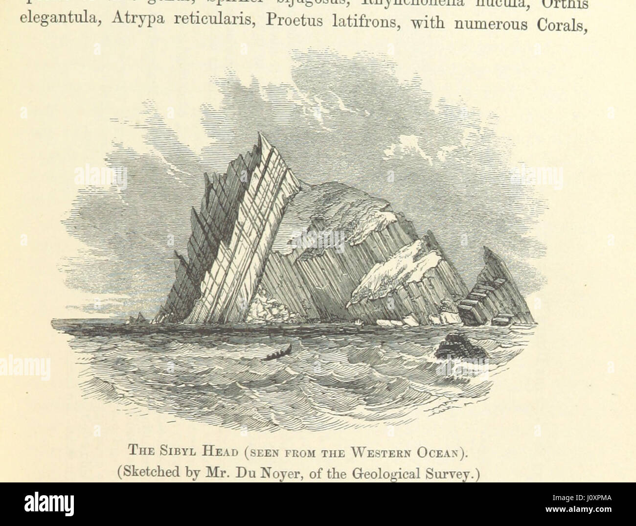 *Siluria* explores the history of the oldest known rocks that contain ...