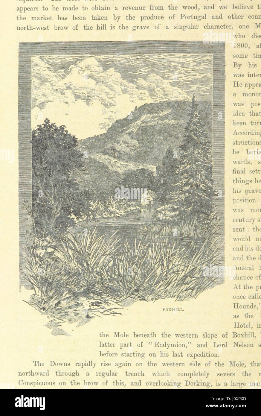 This image from '[Our Own Country]' provides a visual representation of ...