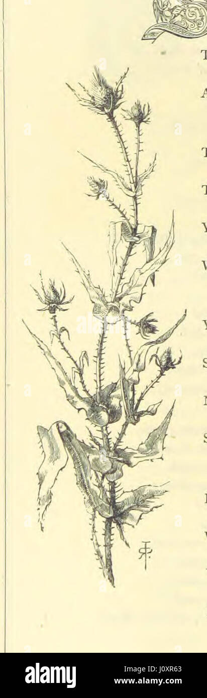 'The Illustrated Book of Sacred Poems' is a collection of sacred poetry ...