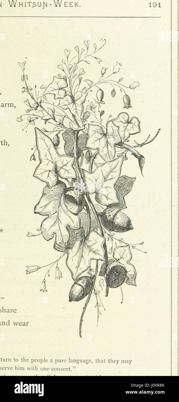 'The Christian Year' is a poetic work reflecting the cycle of Christian ...