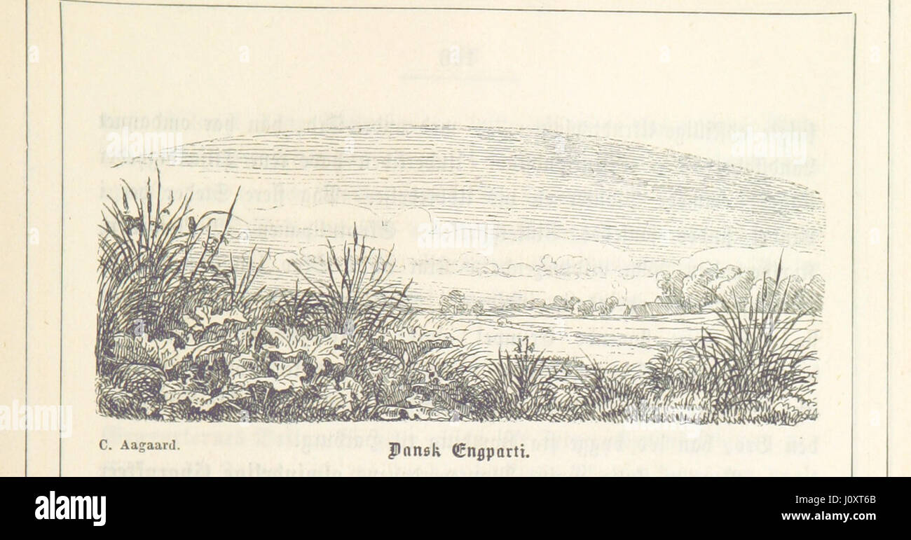 Den danske Stat is a general geographical description of Denmark for ...