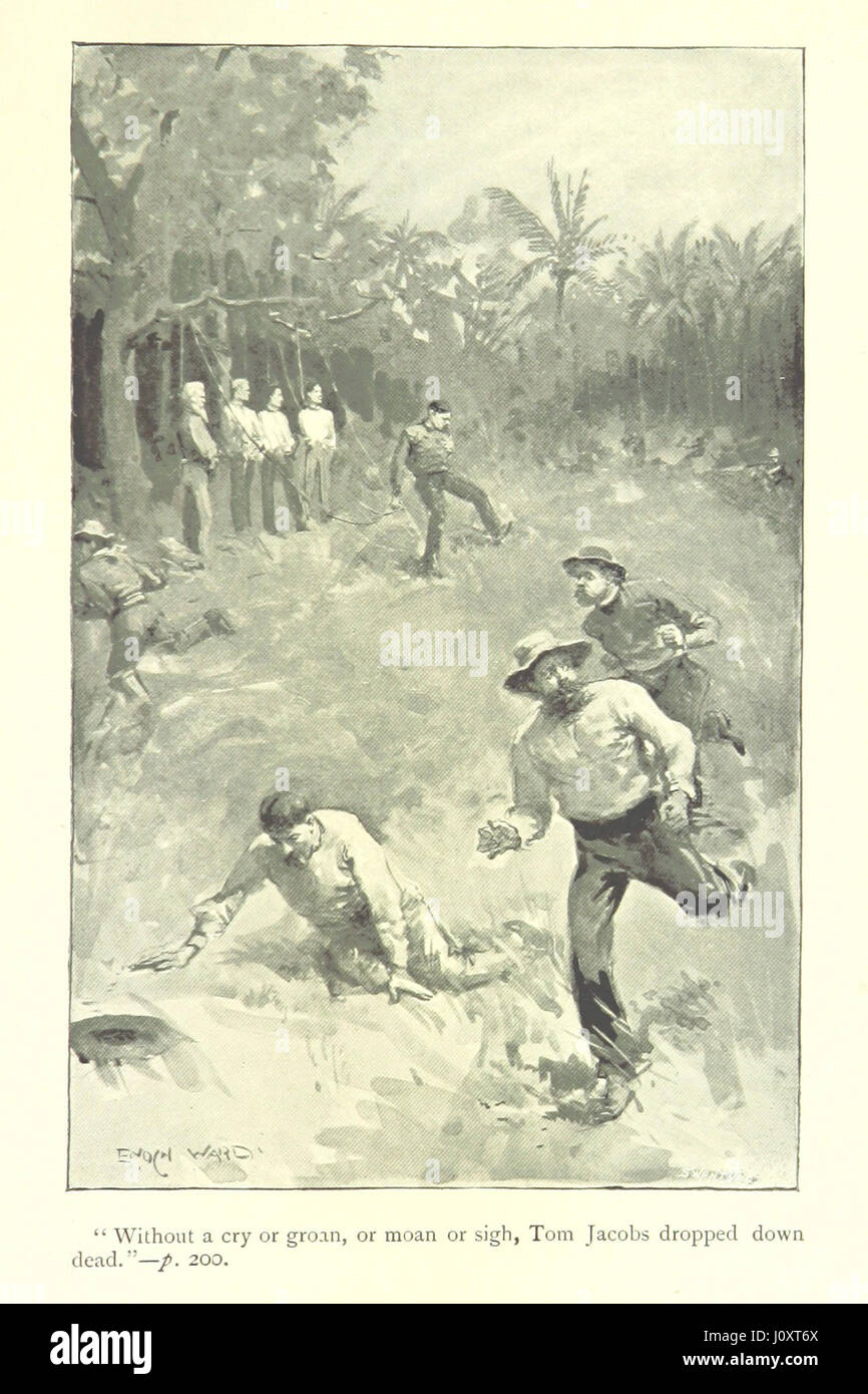 'Friend or Fortune?' tells the tale of a peculiar and eventful year ...