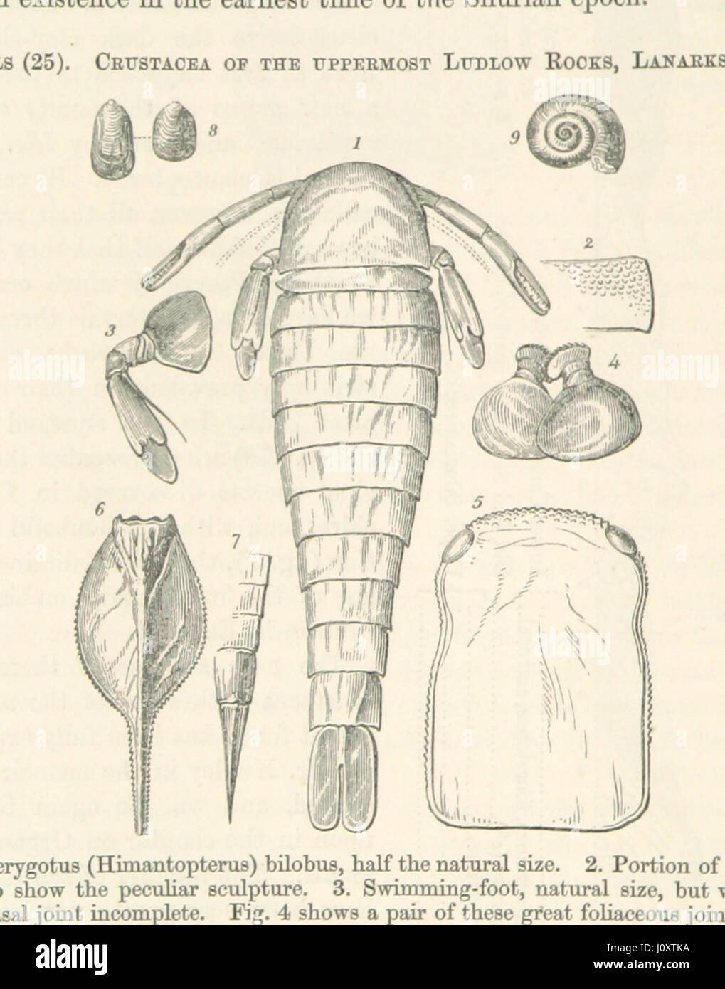 *Siluria* is a geological study detailing the oldest known rocks ...
