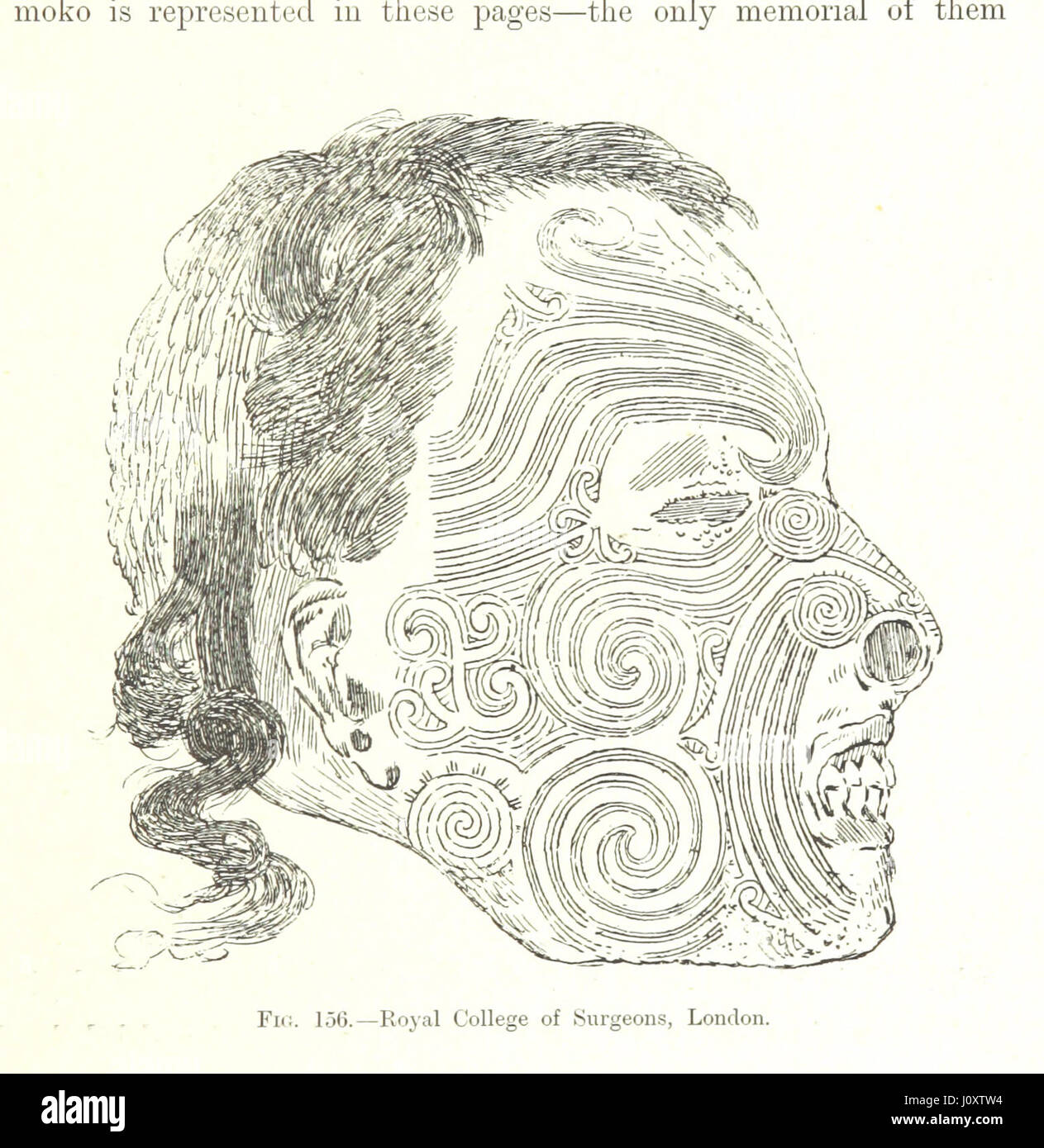 'Moko' explores the traditional practice of Maori tattooing, its ...